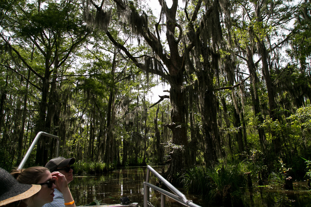 2015 in Retrospect | Peter Hung