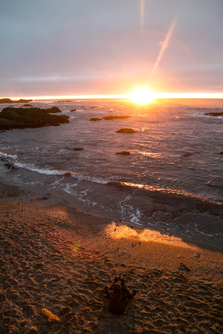 2017 in Retrospect | Peter Hung